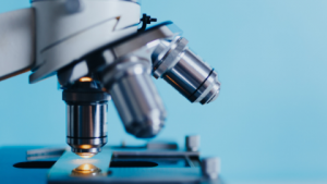 Homepage - Intellify Solutions